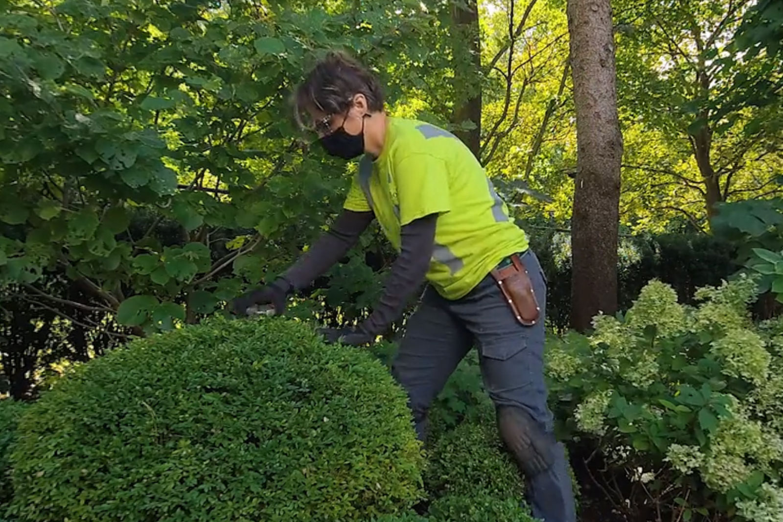 News – Ontario Apprenticeship Landscape Horticulture
